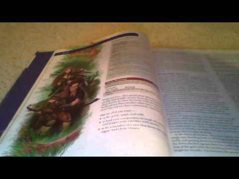 Dungeons and Dragons Eladrin and Elf overview