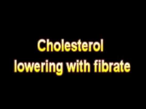 What Is The Definition Of Cholesterol lowering with fibrate - Medical Dictionary Free Online