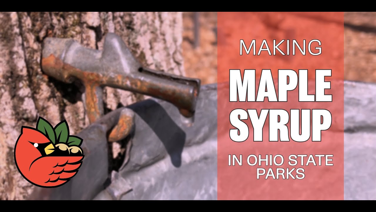 Making Maple Syrup in Ohio State Parks