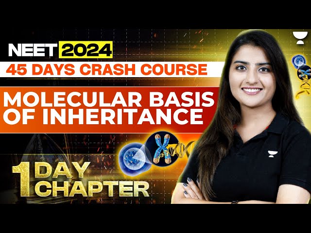 Understanding the Molecular Basis of Inheritance: A Comprehensive Guide for NEET 2024 | Galaxy ...