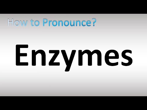How to Pronounce Enzymes