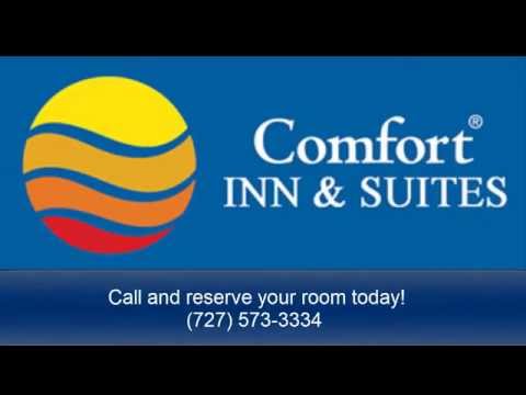 Comfort Inn and Suites Clearwater Reviews