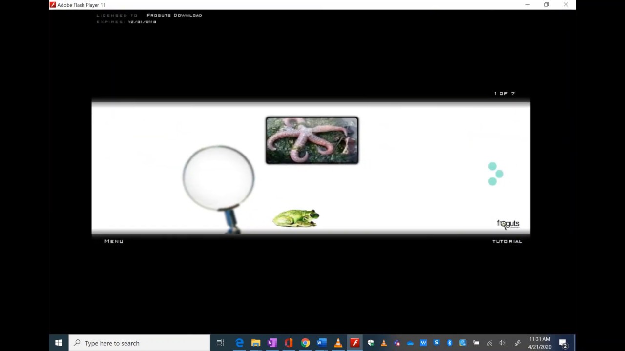 How to Install Froguts Virtual Lab