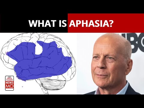 Bruce Willis Diagnosed With Aphasia, Announces Retirement, What Is Aphasia And Can It Be Cured?