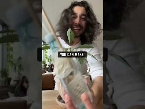 6 Ways to Upcycle Plastic Bottles for Your Garden | creative explained