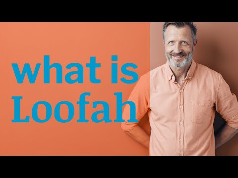 Loofah | Definition of loofah