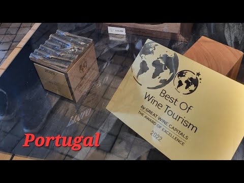 Best of wine tourism/Porto in Portugal