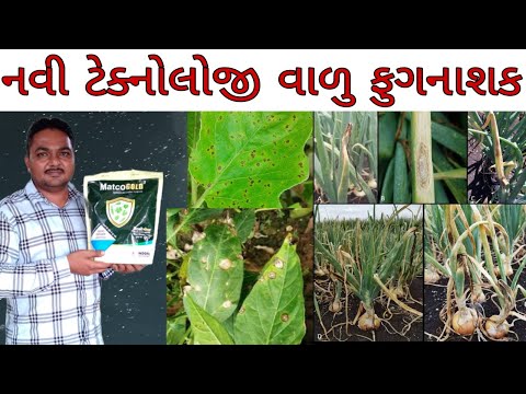 Indofil Fungicides - Latest Price, Dealers & Retailers in India