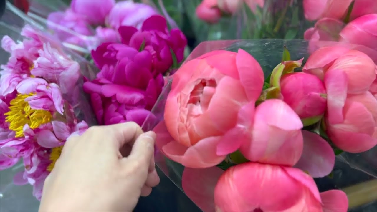 Trader Joe's - Fresh Flowers / Peonies