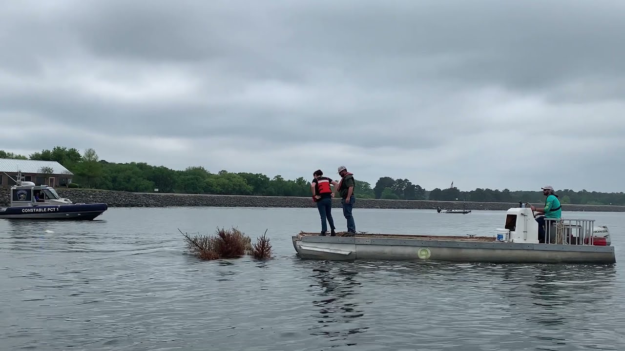 SJRA and Texas Parks and Wildlife Christmas Tree Fish Habitat on Lake Conroe