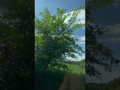 Germany, wonderful sun shining view in Frühling.
