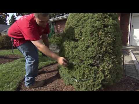 HouseSmarts "Outdoor Holiday Decorating" Episode 128