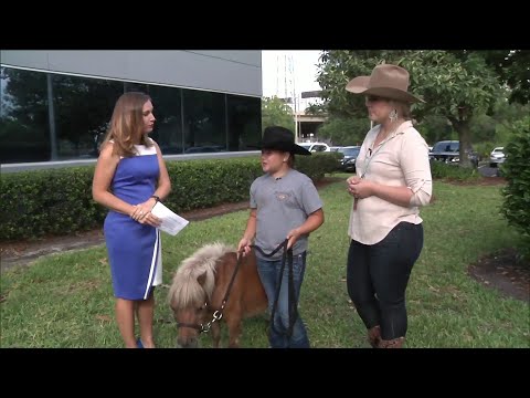 Diamond D Ranch summer camp