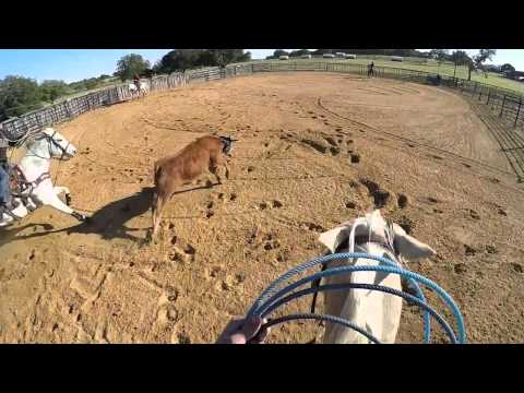 LEGEND: Horsemanship from Trevor Brazile and Patrick Smith