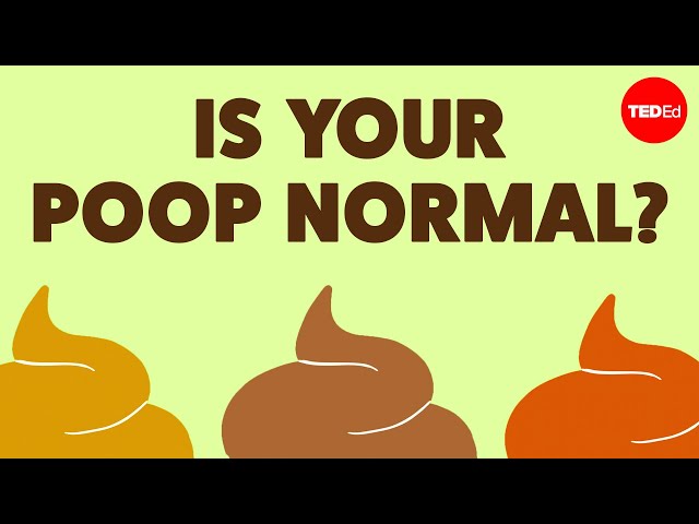 Understanding Your Poop: What It Reveals About Your Health | Galaxy.ai ...