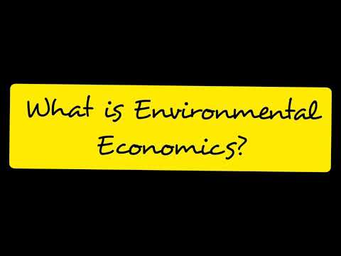 what is Environmental Economics?