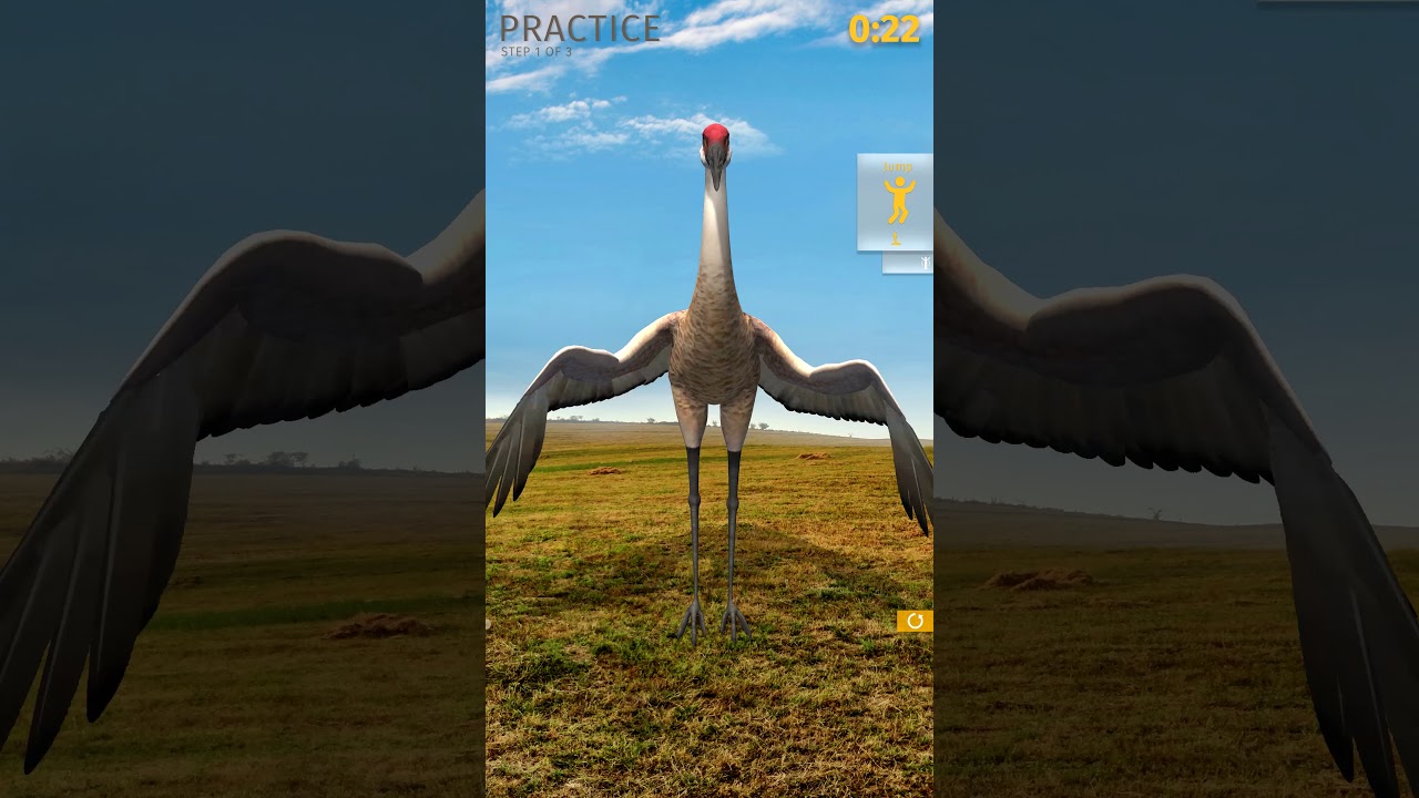 Sandhill Crane Dance Interactive Demo