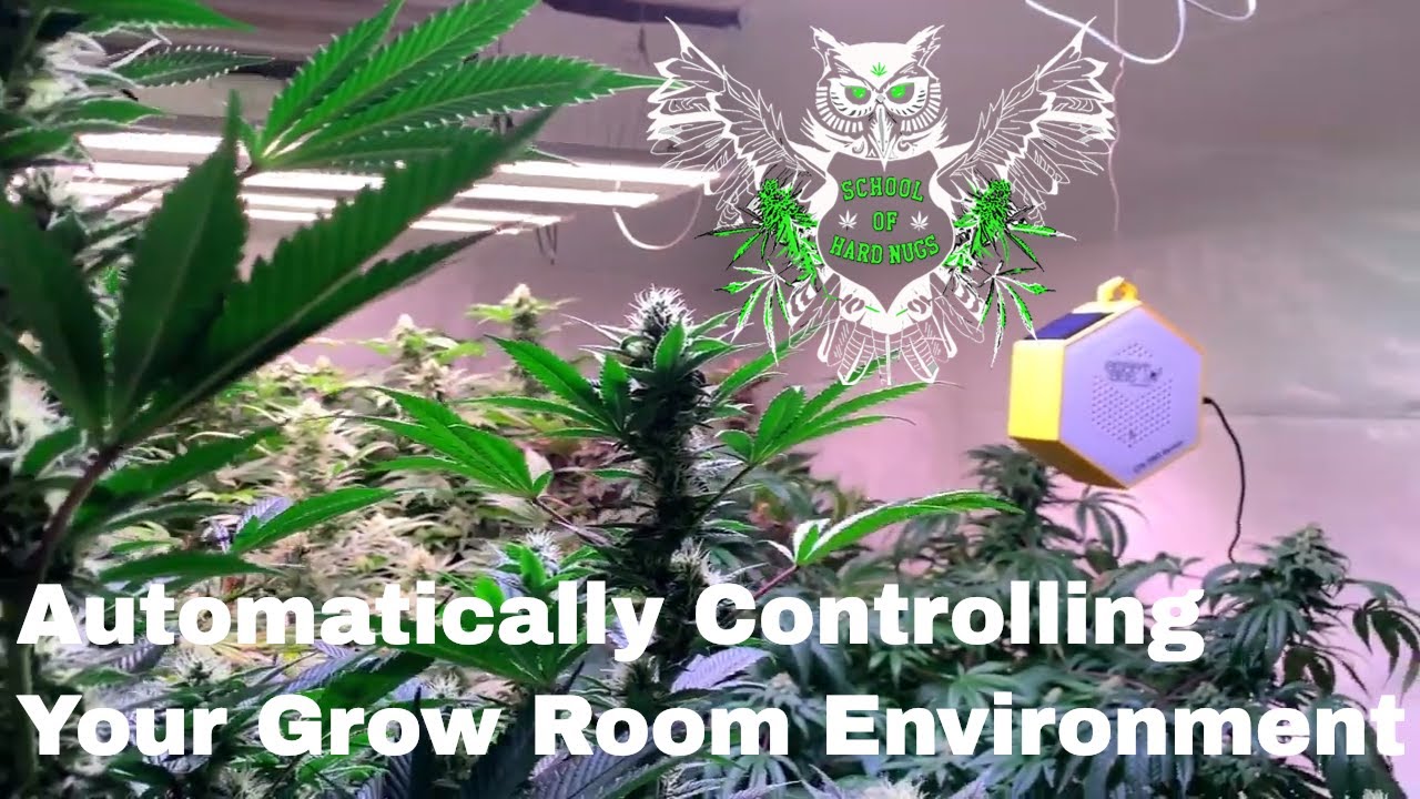 How To Automatically Control Your Grow Room Environment | Smart Bee Controller Demo and Review