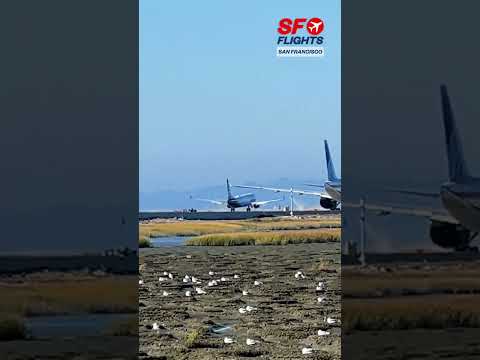 ✈️ Airline: Alaska Airlines 🇺🇸📍Location : San Francisco International Airport 🛬