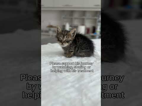 This blind baby is fighting to seeā¦