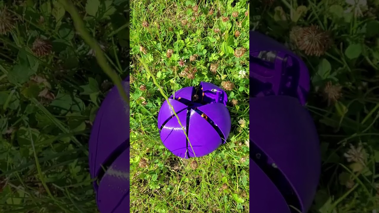 Hexapod 2.0 moves #hexapod #engineering #stem #shorts #3dprinting