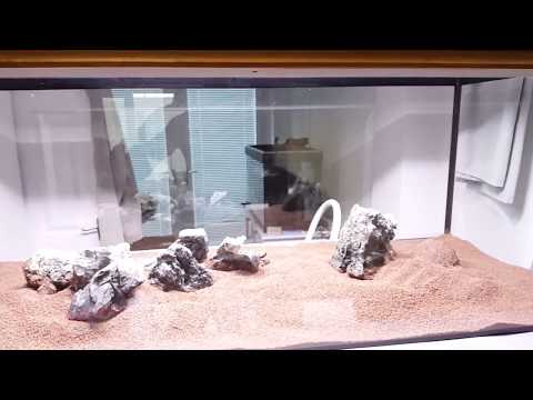 New Tank build - Rocks, caves, sock tray and stuff