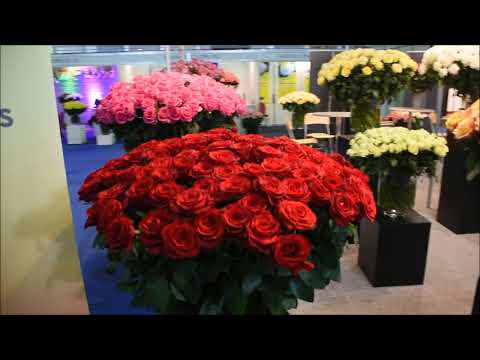 TANA FLORA AT THE INTERNATIONAL HORTICULTURE & FLORICULTURE TRADE FARE