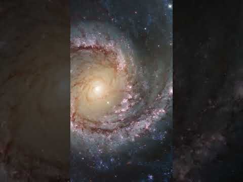NGC 1566 || The Spanish Dancer Spiral Galaxy || #shorts