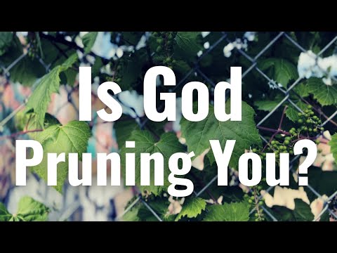 Why God Puts Us Through The "Pruning Process". | The Lords House