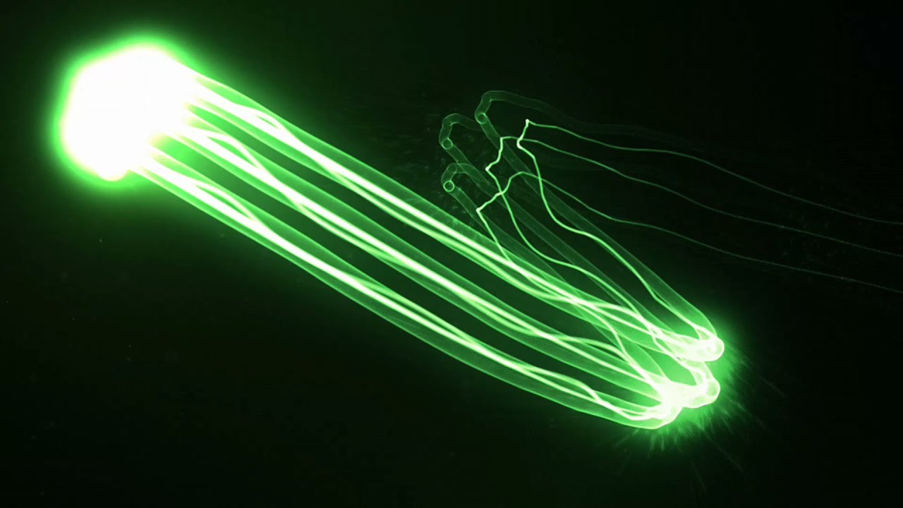 Flash magic light intro no copyright videos.