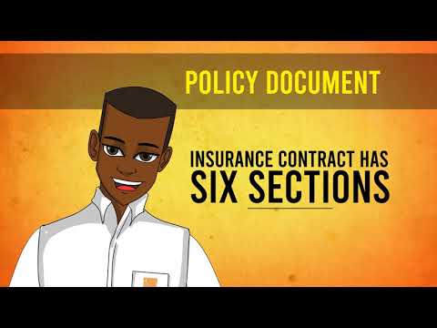 Understand your insurance policy