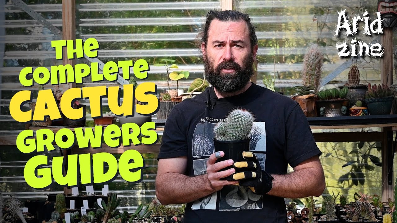 Cactus care 101: How to grow a happy cactus