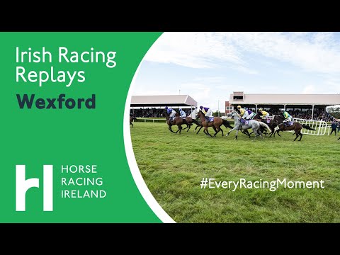 Lovely hurling at the Wexford races! – WexfordLocal.com