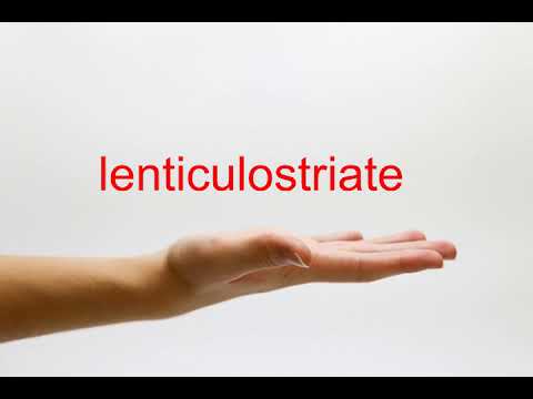 How to Pronounce lenticulostriate - American English