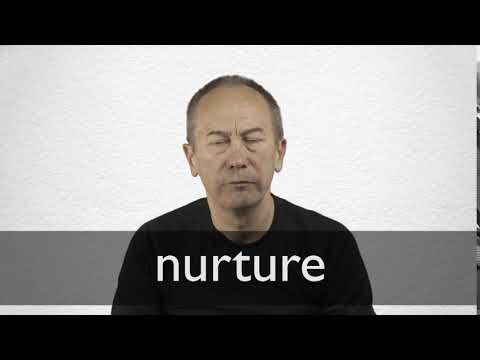 How to pronounce NURTURE in British English