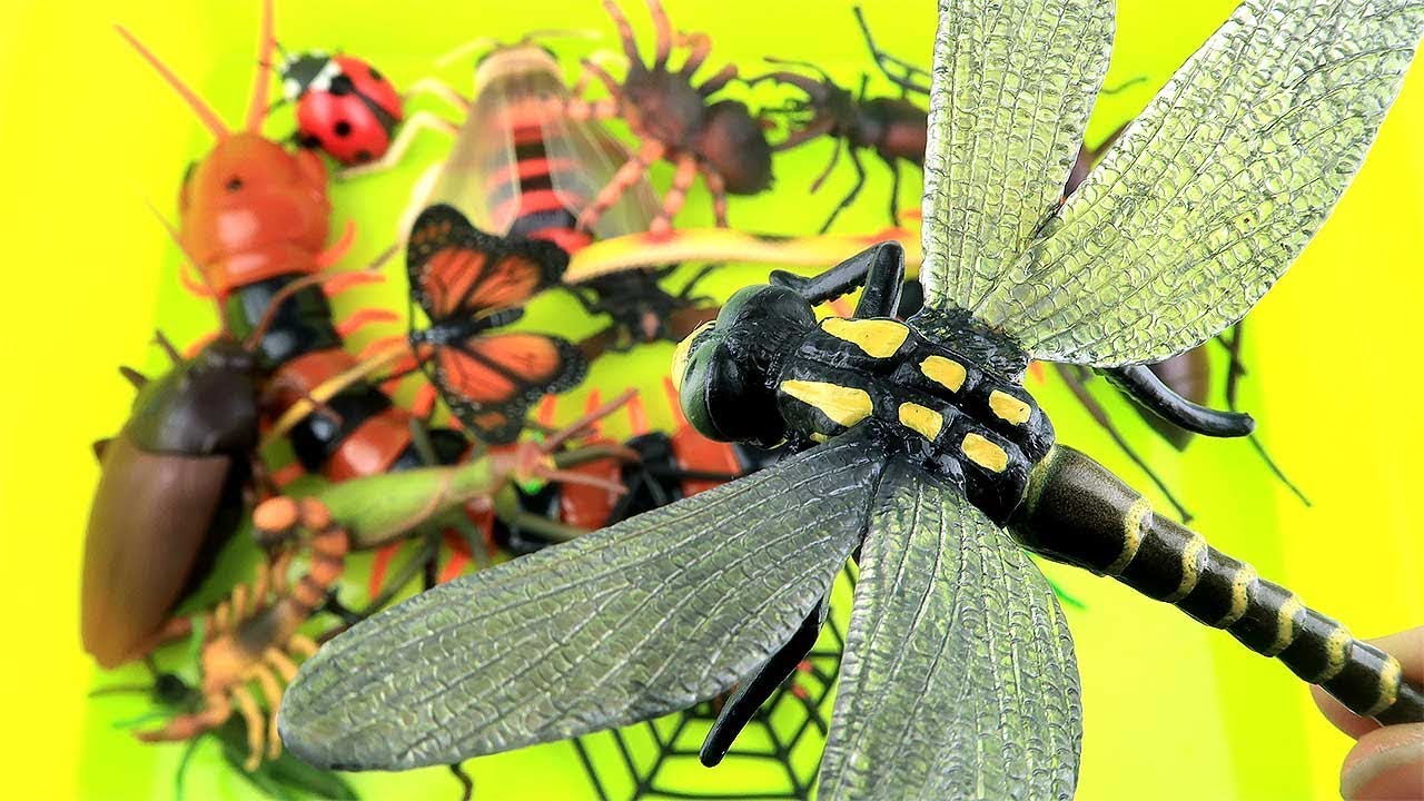 Best Insect Toys For Kids - Learn Bugs & Insect Education Video! RC Spider Centipede Scorpion Frog