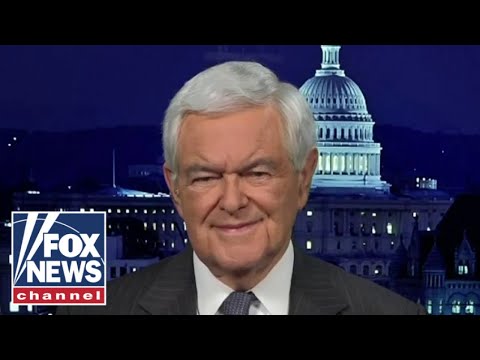 The 2022 House Republican Party will be the 'most diverse' in US history: Newt Gingrich