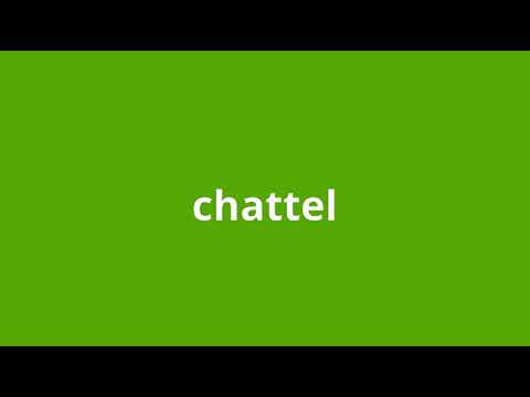 what is the meaning of chattel