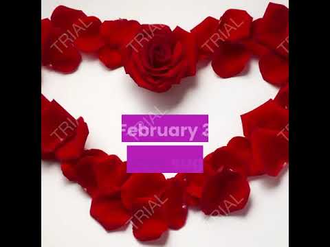 people born on february 3 zodiac sign is aquarius