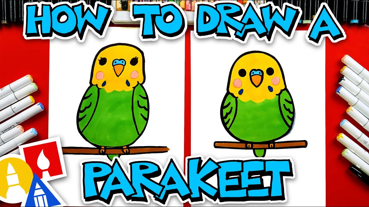 How To Draw A Cute Parakeet