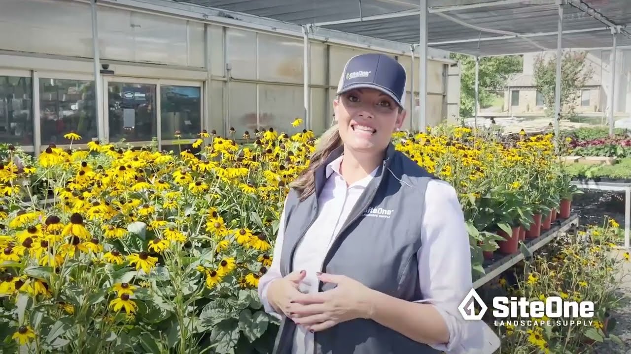 SiteOne Field Guide: Attracting Pollinators