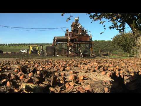 Grant's Getaways Tip of the Week: Nut Man