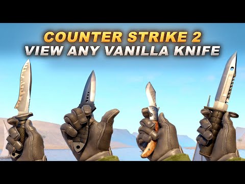 CS2 How To Play With Any Vanilla Knife