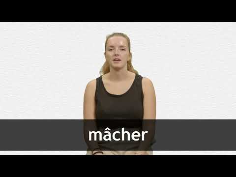 English Translation of “MÂCHER” | Collins French-English Dictionary