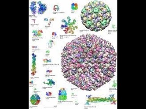 All About Biochemistry | 12/28/2022