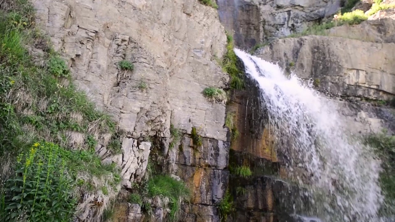 Summer Website Background