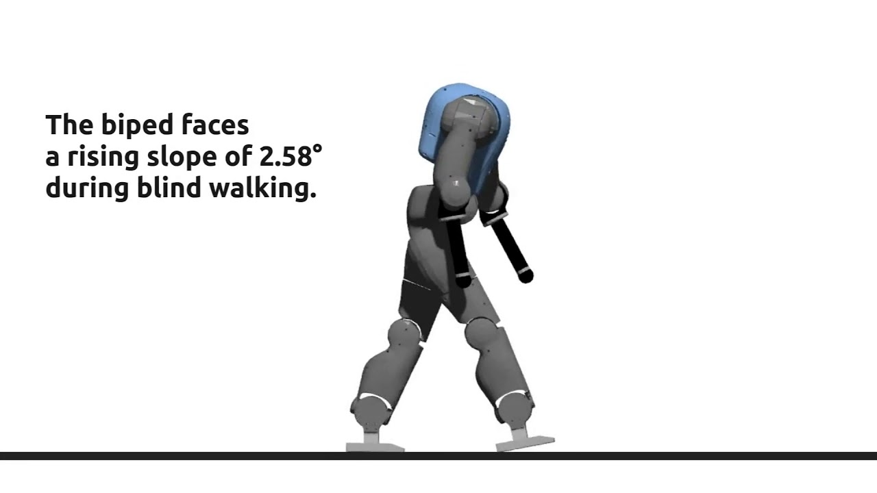 Bio inspired controller achieving forward speed modulation with a 3D bipedal walker 4 of 5
