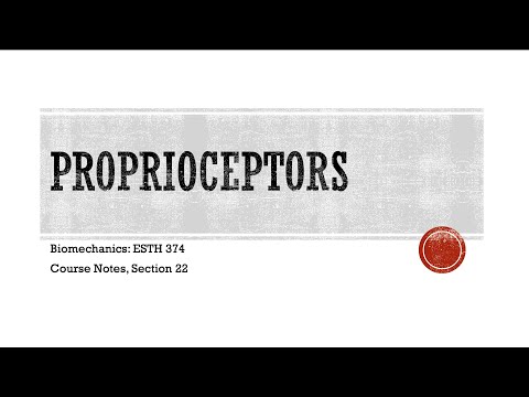 Proprioceptors