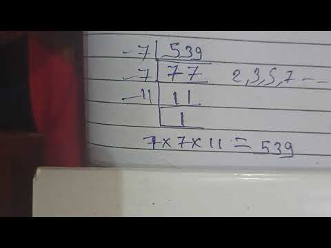 prime factors of 539