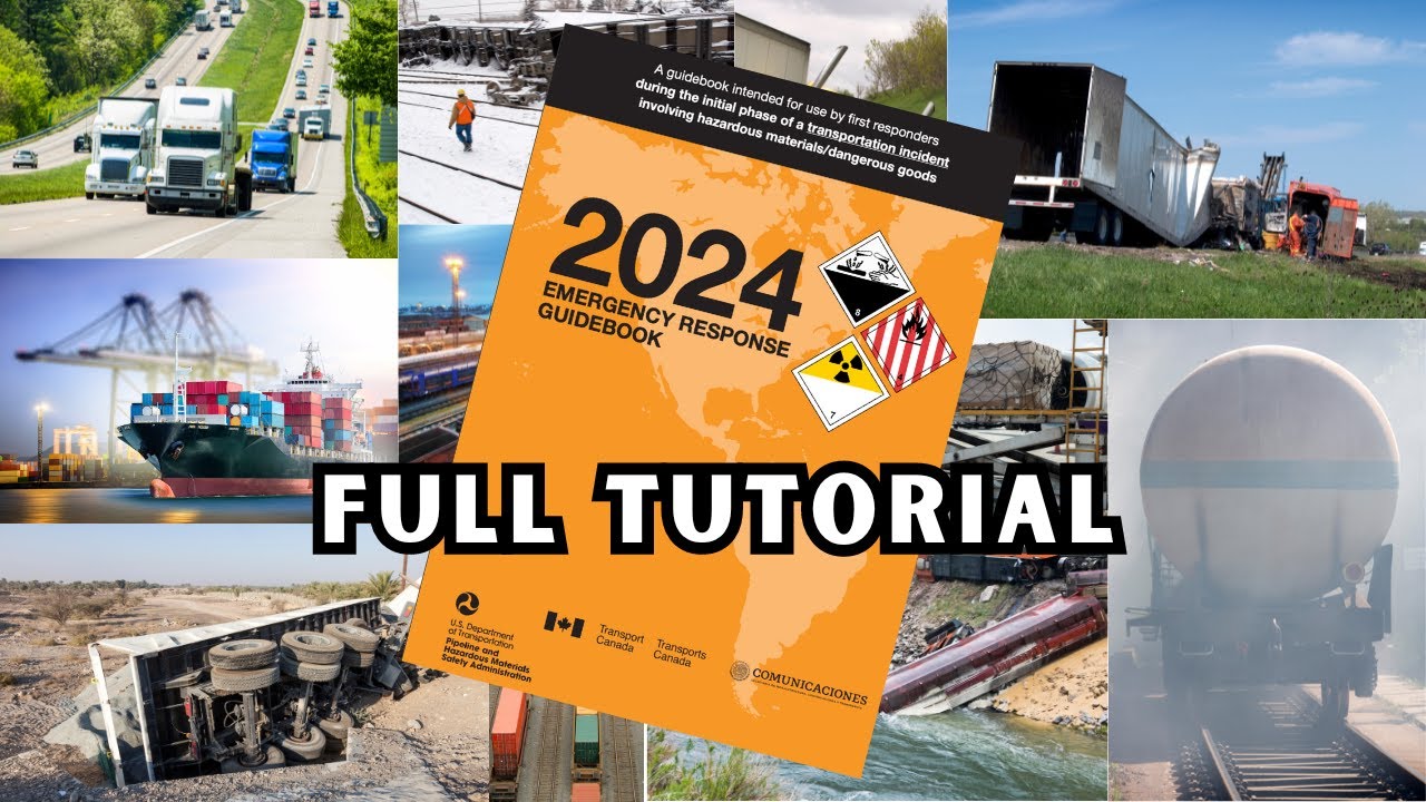 How To Use The ERG: A Complete Guide (2024)